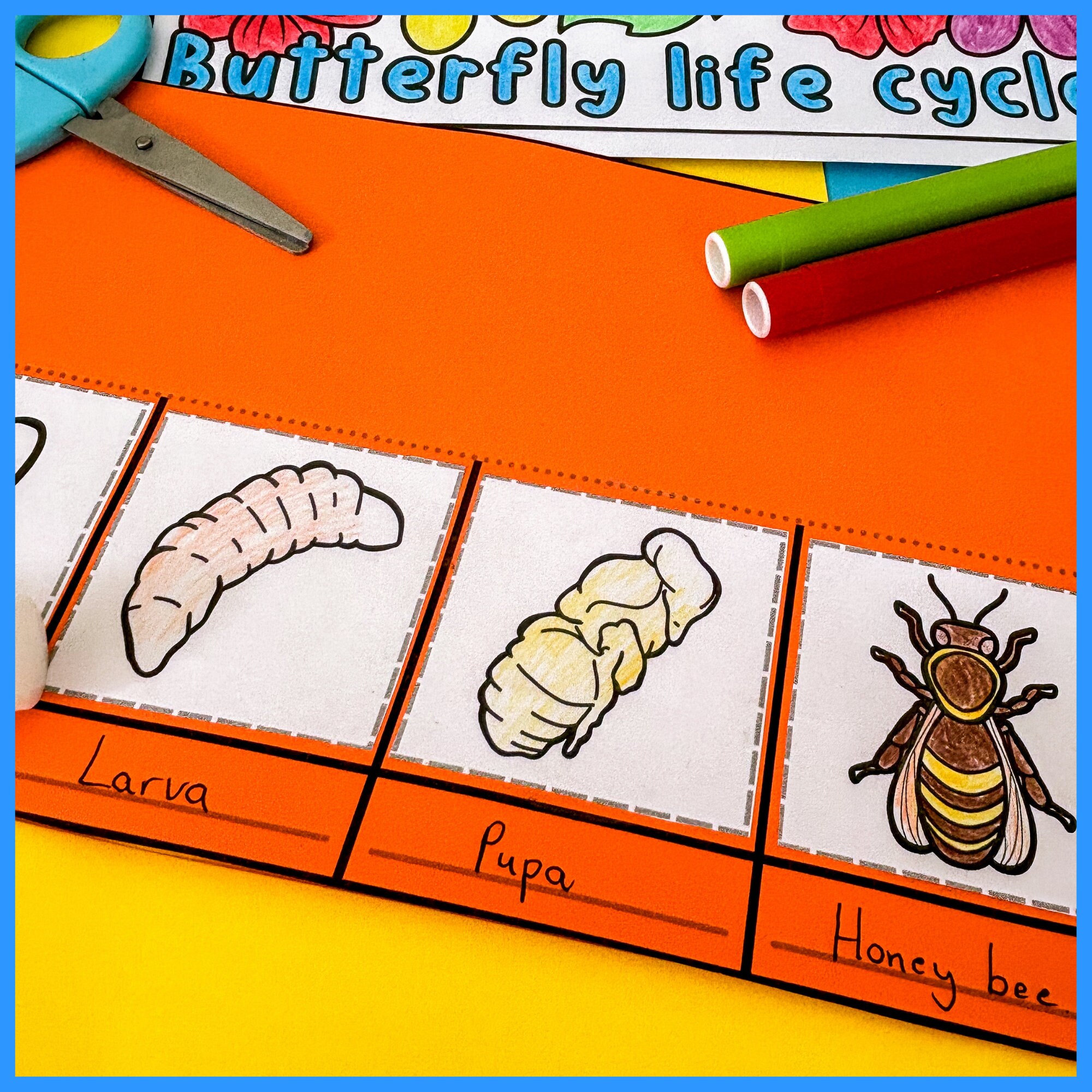 Insect Life Cycles Lift the Flap Printable Activity for Butterfly Honey ...