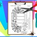 Life Cycle of a Spider Foldable Kids' Craft A4 and - Etsy UK