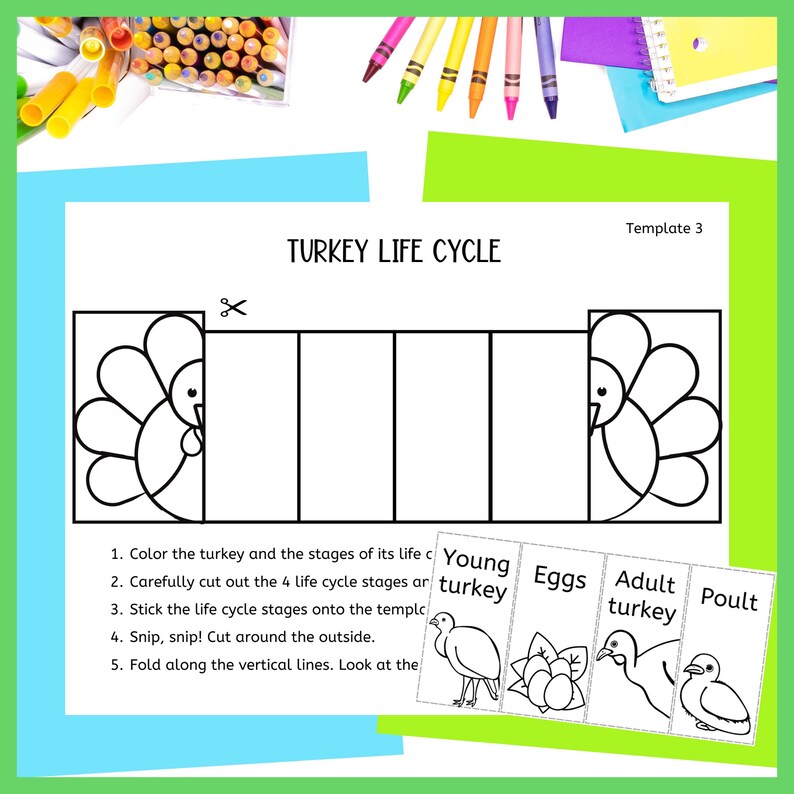 Life Cycle of a Turkey Foldable Kids' Craft | 11x8.5 Inch | Digital ...