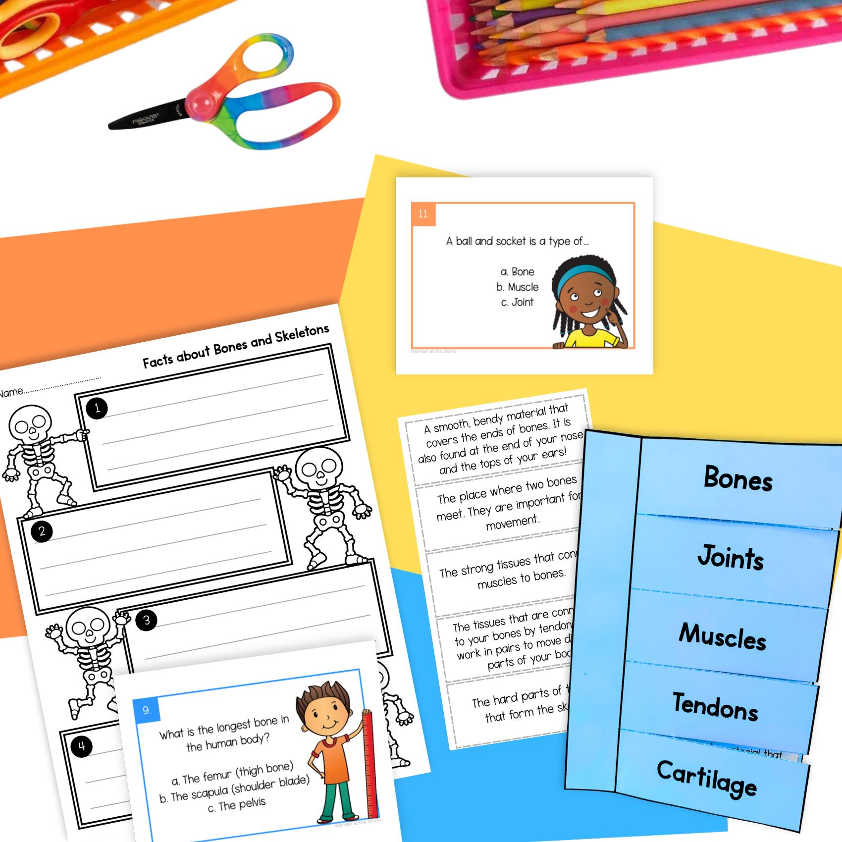 Human Skeleton and Bones Skeletal System Lesson With Slides Printables ...