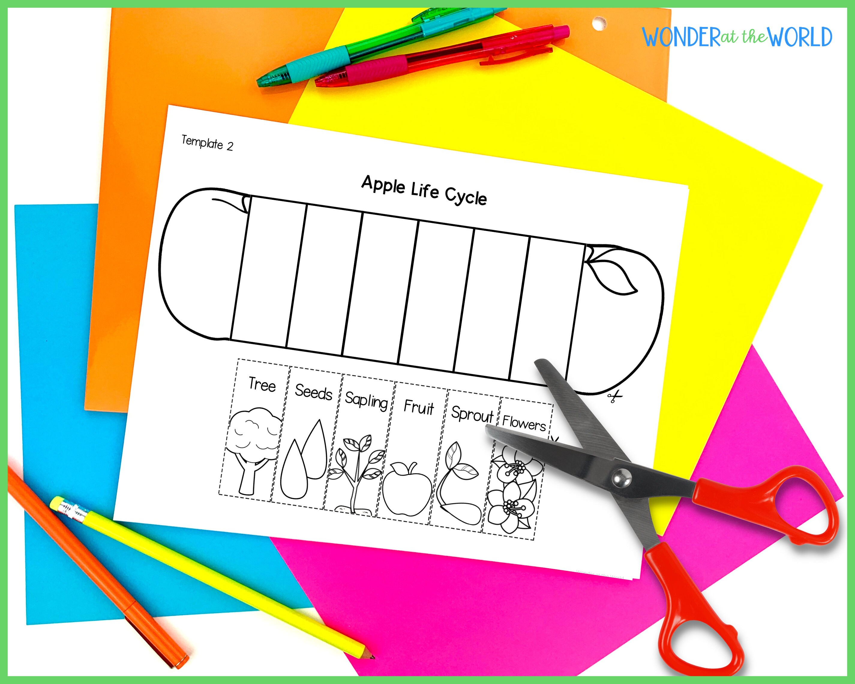 Life Cycle of an Apple Tree Foldable Activity for Kids - Etsy