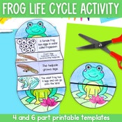 Life Cycle of a Bean Plant Foldable Kids' Craft Science Activity A4 and ...