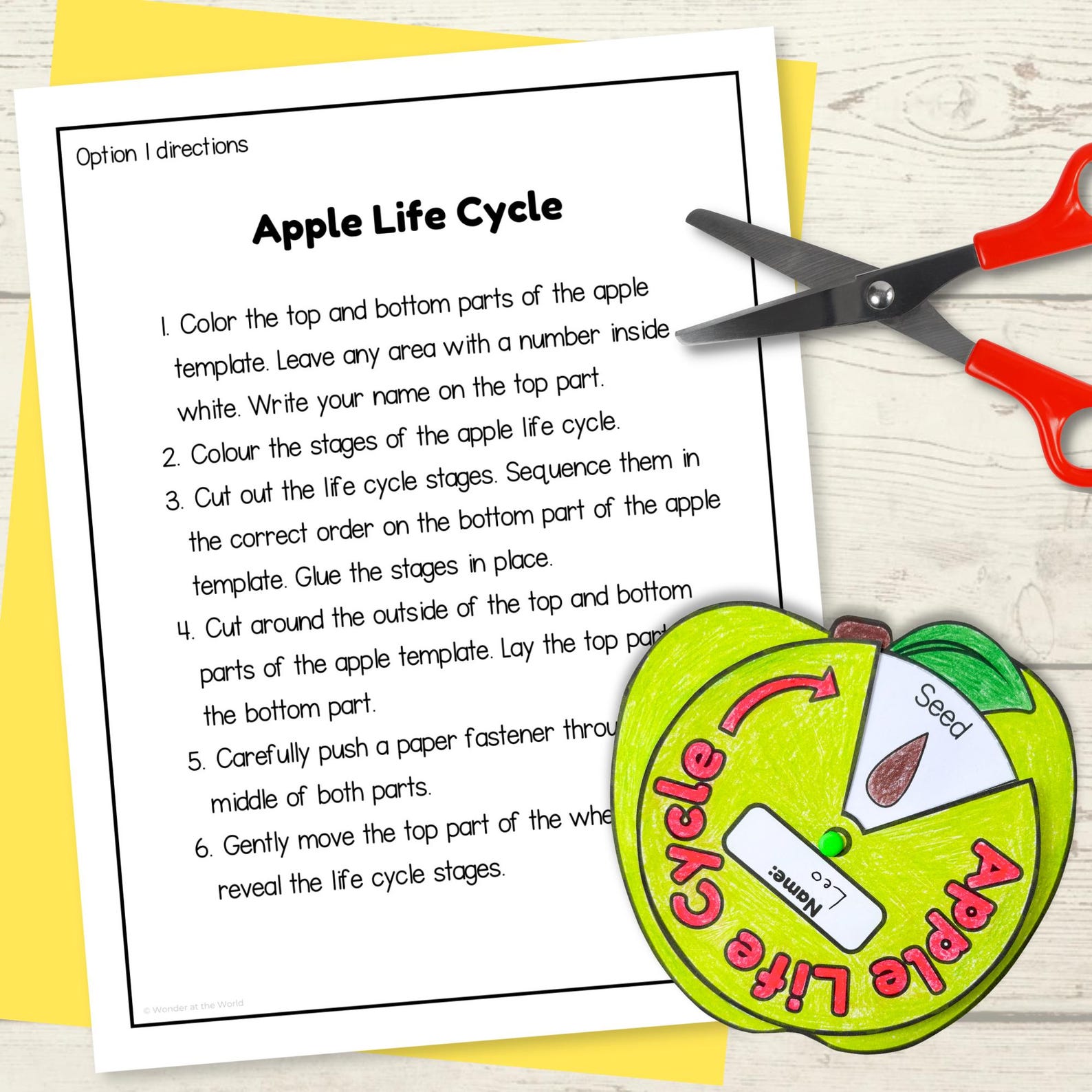 Life Cycle of an Apple Tree Spinner Wheel Sequencing Activity Fall ...
