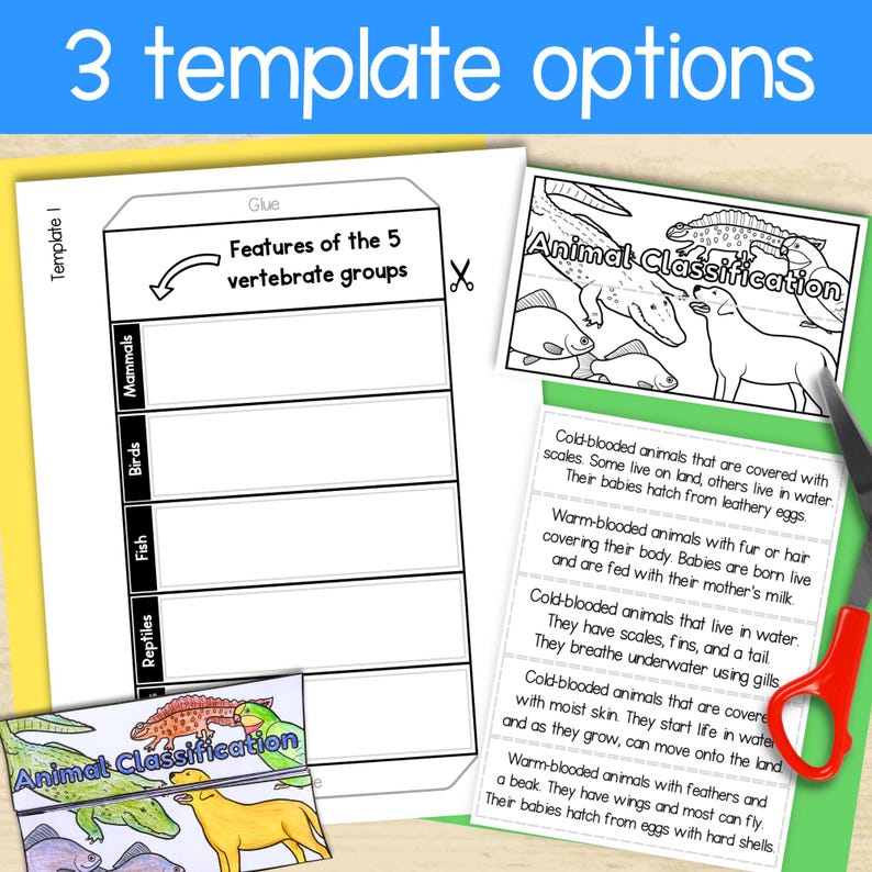Animal Classification Foldout Science Activity to Review Features of ...