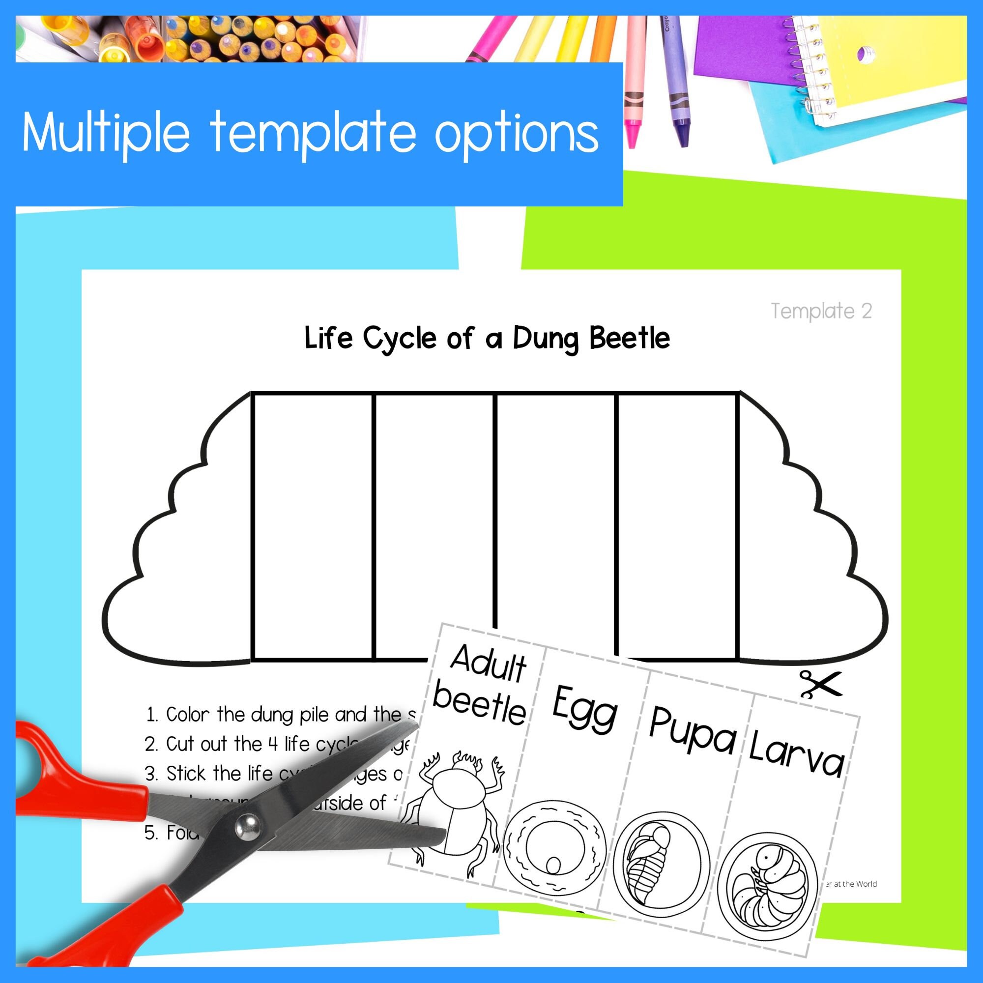 Life Cycle of a Dung Beetle Foldable Sequencing Activity Craft for Kids ...