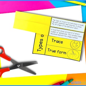 Fossils Lapbook or Interactive Notebook Activity Printable Templates ...