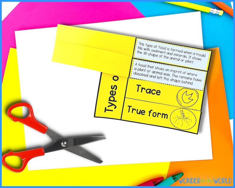 Fossils Lapbook or Interactive Notebook Activity Printable Templates ...