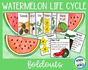 Life Cycle of a Watermelon Plant Foldable Kids' Craft A4 and 11x8.5 ...