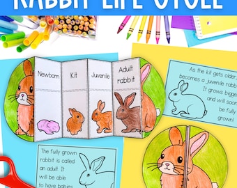 Life Cycle of a Carrot Plant Foldable Cut and Paste Sequencing Activity ...