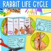Life Cycle of a Rabbit Foldable Sequencing Activity Cut and Paste ...