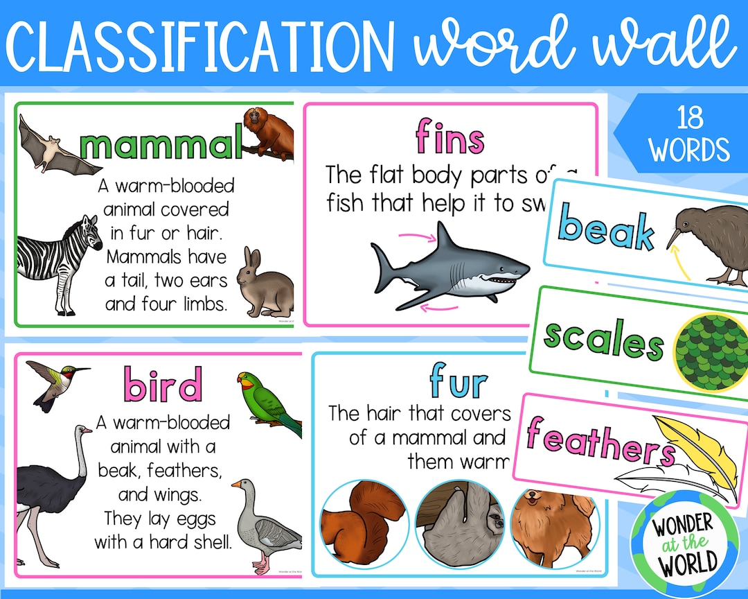 Vertebrate Animal Classification Science Vocabulary Word Wall | UK and ...