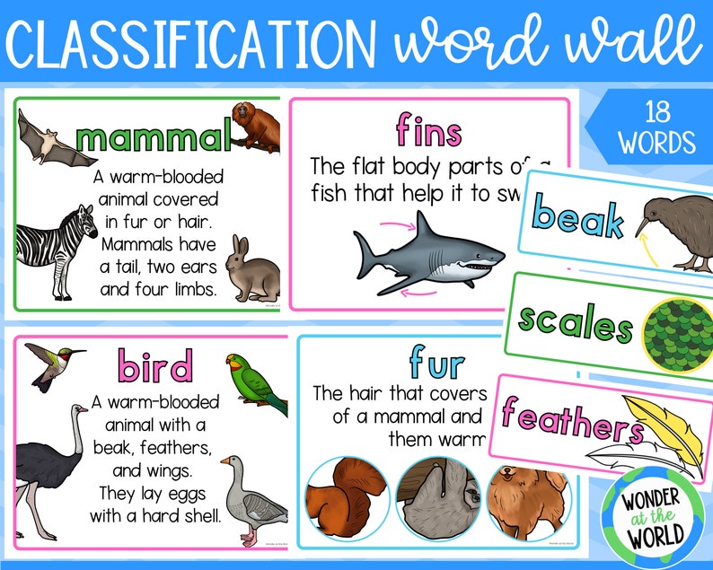 Vertebrate Animal Classification Science Vocabulary Word Wall | UK and ...