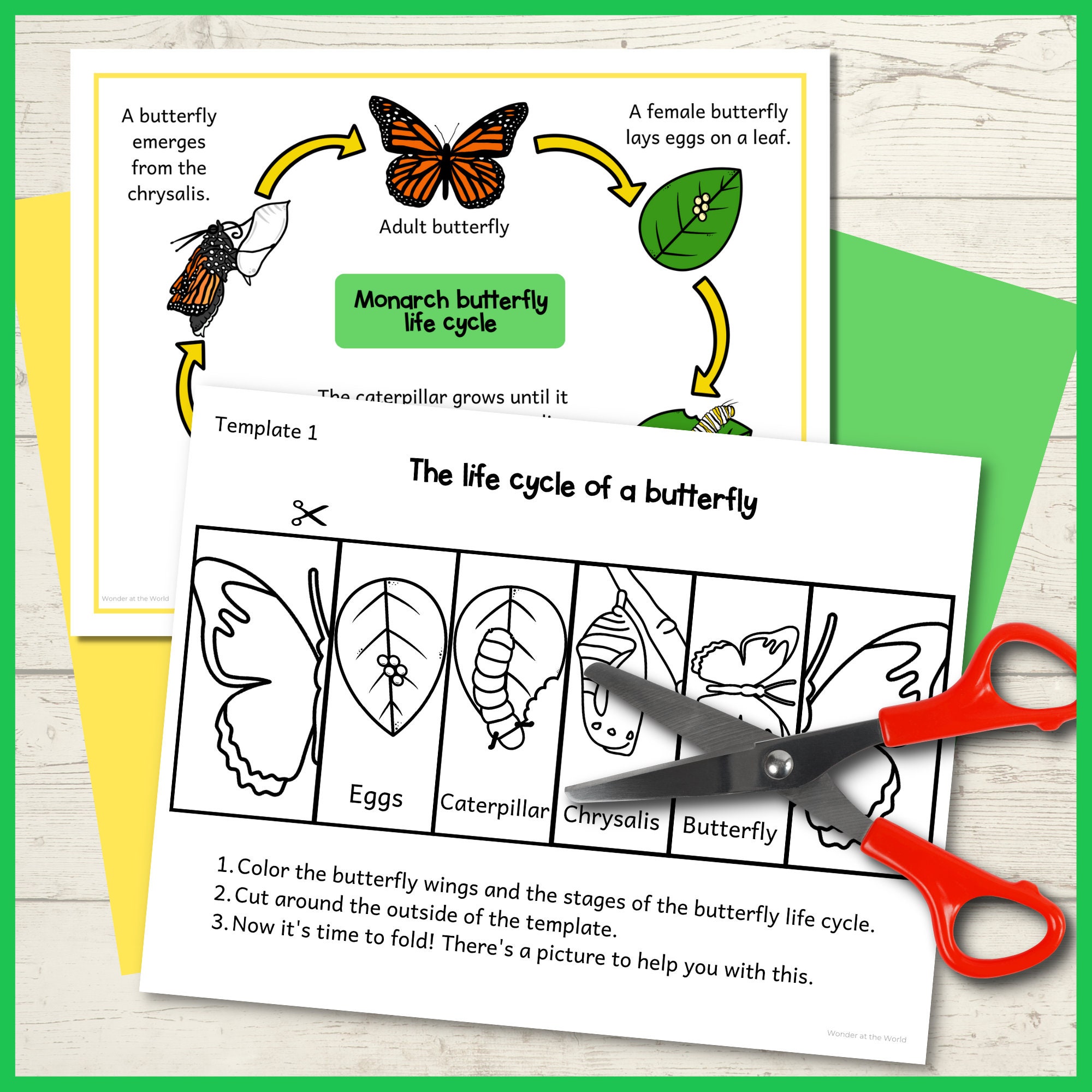 Life Cycles Foldable Science Cut and Paste Activities Butterfly Bean ...