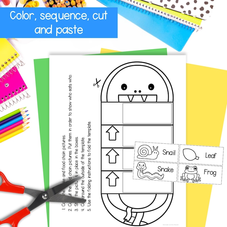 Food Chains Foldable Kids' Craft With Shark, Bear, Snake and Lion ...