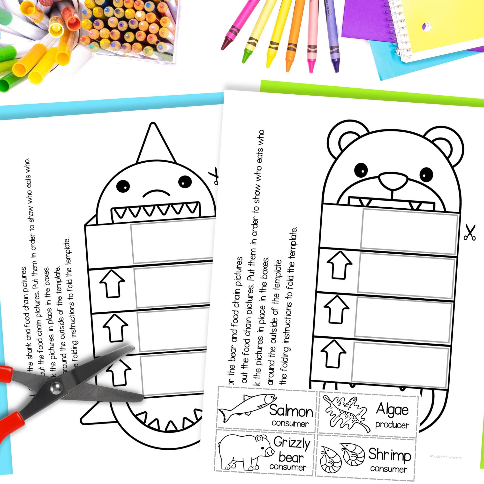 Make a food chain foldable activities PDF | A4 and 8.5x11 inch ...