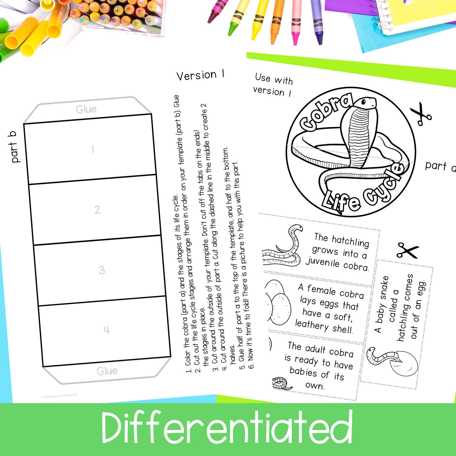 Life Cycle of a Cobra Snake Foldable Sequencing Activity PDF Digital ...