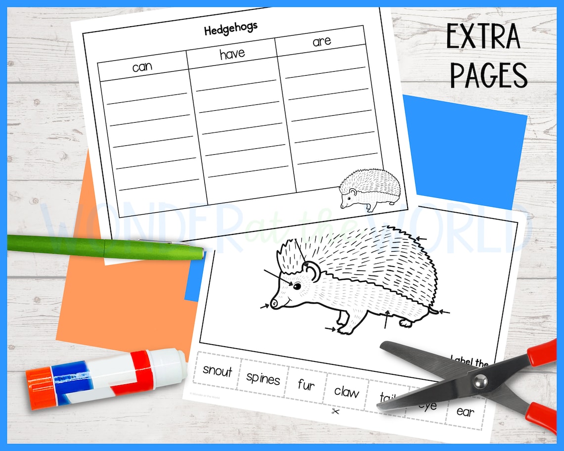 Hedgehog Life Cycle Foldable Activity for Kids 8.5x11 Inch and A4 ...