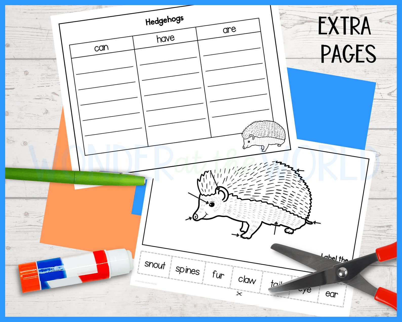 Hedgehog Life Cycle Foldable Activity for Kids 8.5x11 Inch and A4 ...
