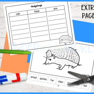 Hedgehog Life Cycle Foldable Activity for Kids | 8.5x11 Inch and A4 ...