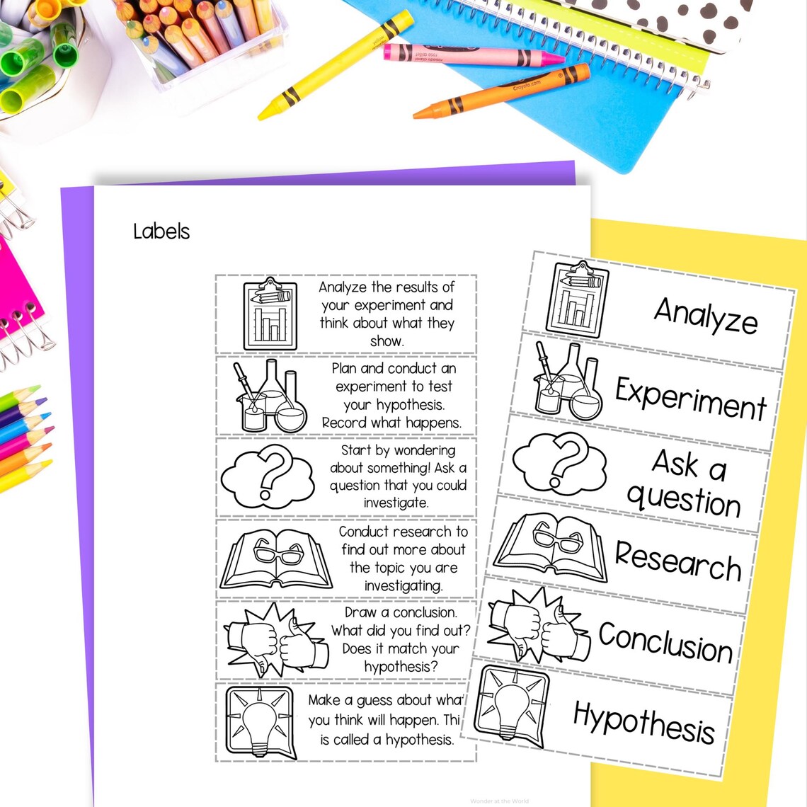 Steps of the Scientific Method Foldable Sequencing Activity Cut and ...