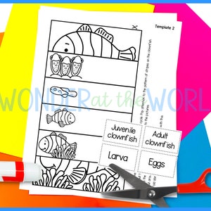 Life Cycle of a Clownfish Foldable Kids' Craft | A4 and 11x8.5 Inch ...