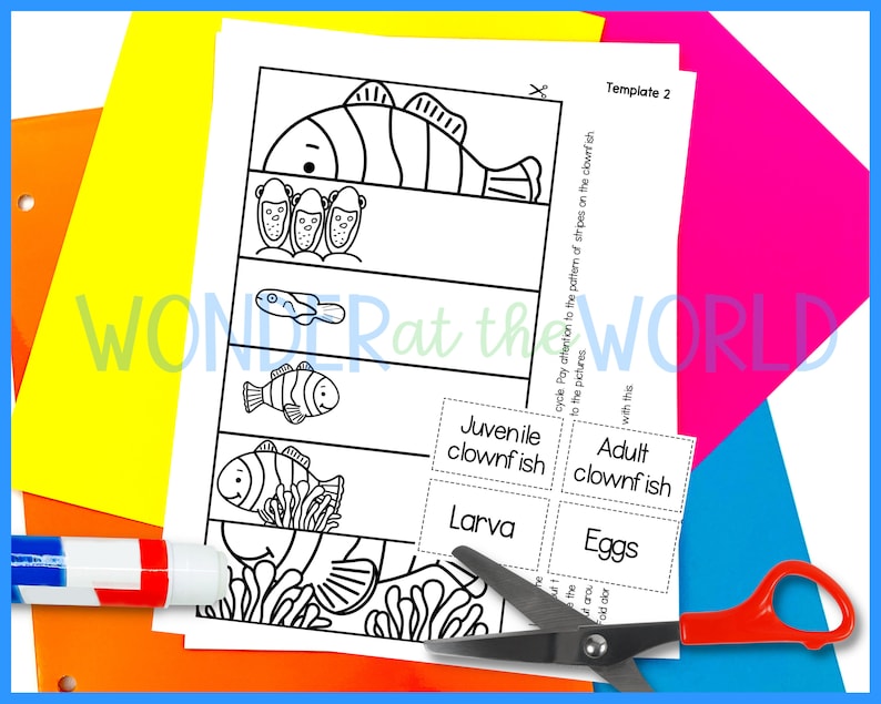 Life Cycle of a Clownfish Foldable Kids' Craft | A4 and 11x8.5 Inch ...