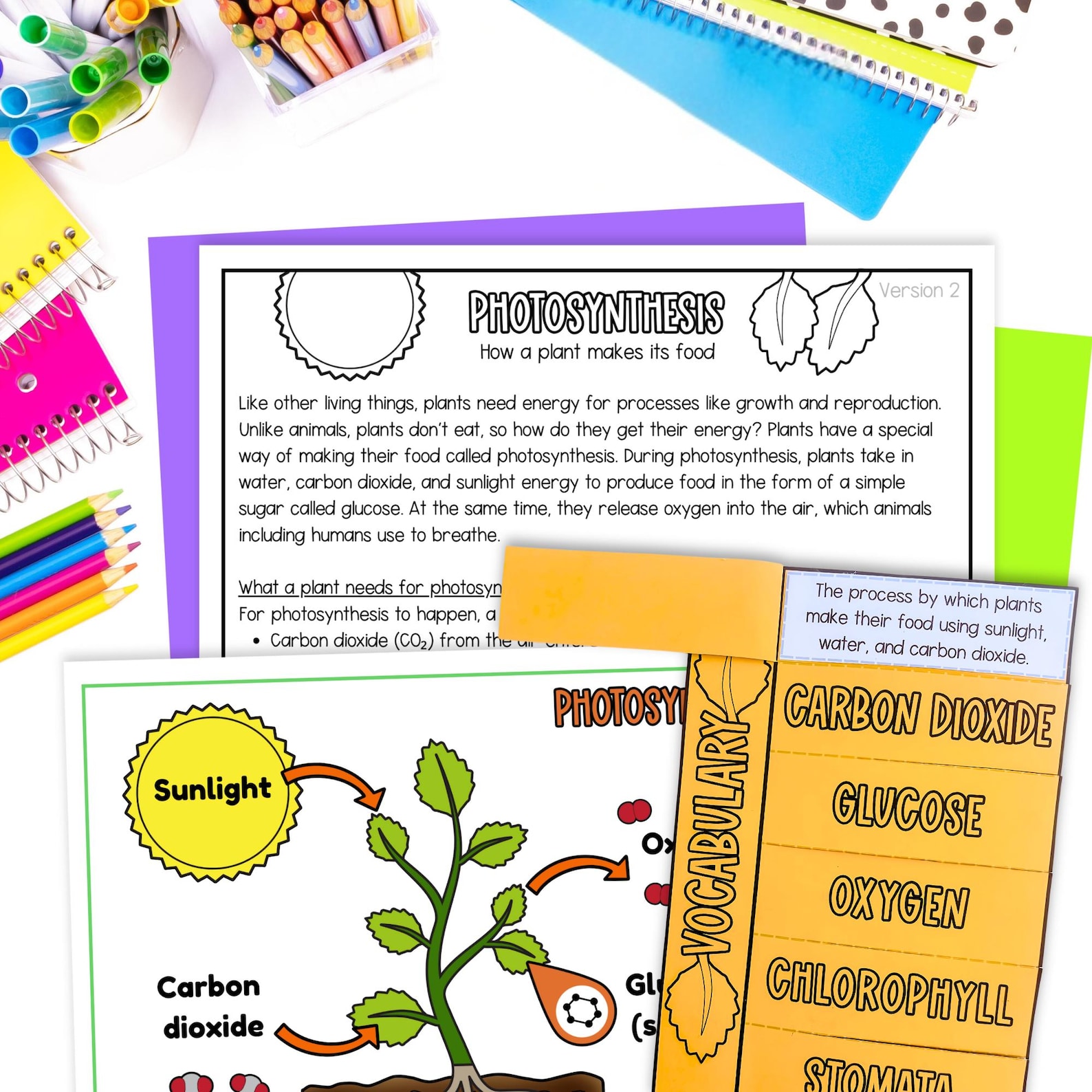 Photosynthesis Foldable Activities Cut and Paste for Interactive ...