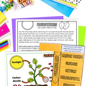 Photosynthesis Foldable Activities Cut and Paste for Interactive ...