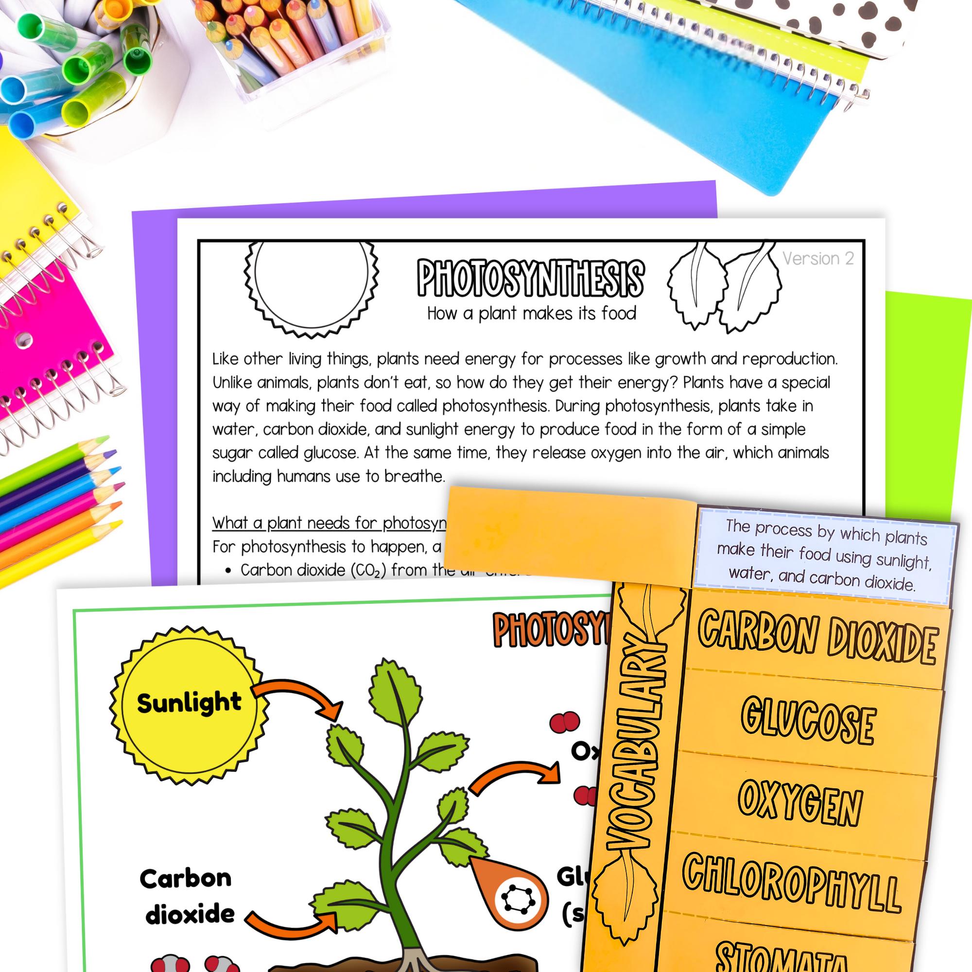 Photosynthesis Foldable Activities Cut and Paste for Interactive ...