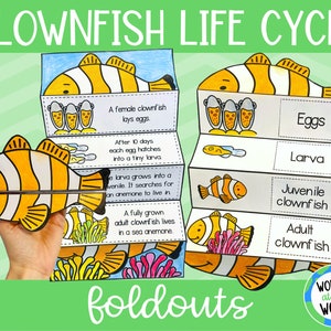 Life Cycle of a Clownfish Foldable Kids' Craft | A4 and 11x8.5 Inch ...