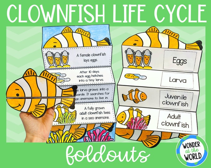 Foldable Clownfish Life Cycle Learning Activity for Kids A4 and 11x8.5 ...