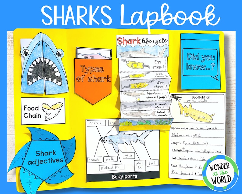 Shark Science Lapbook Printable Templates Digital Download A4 and 11x8 ...