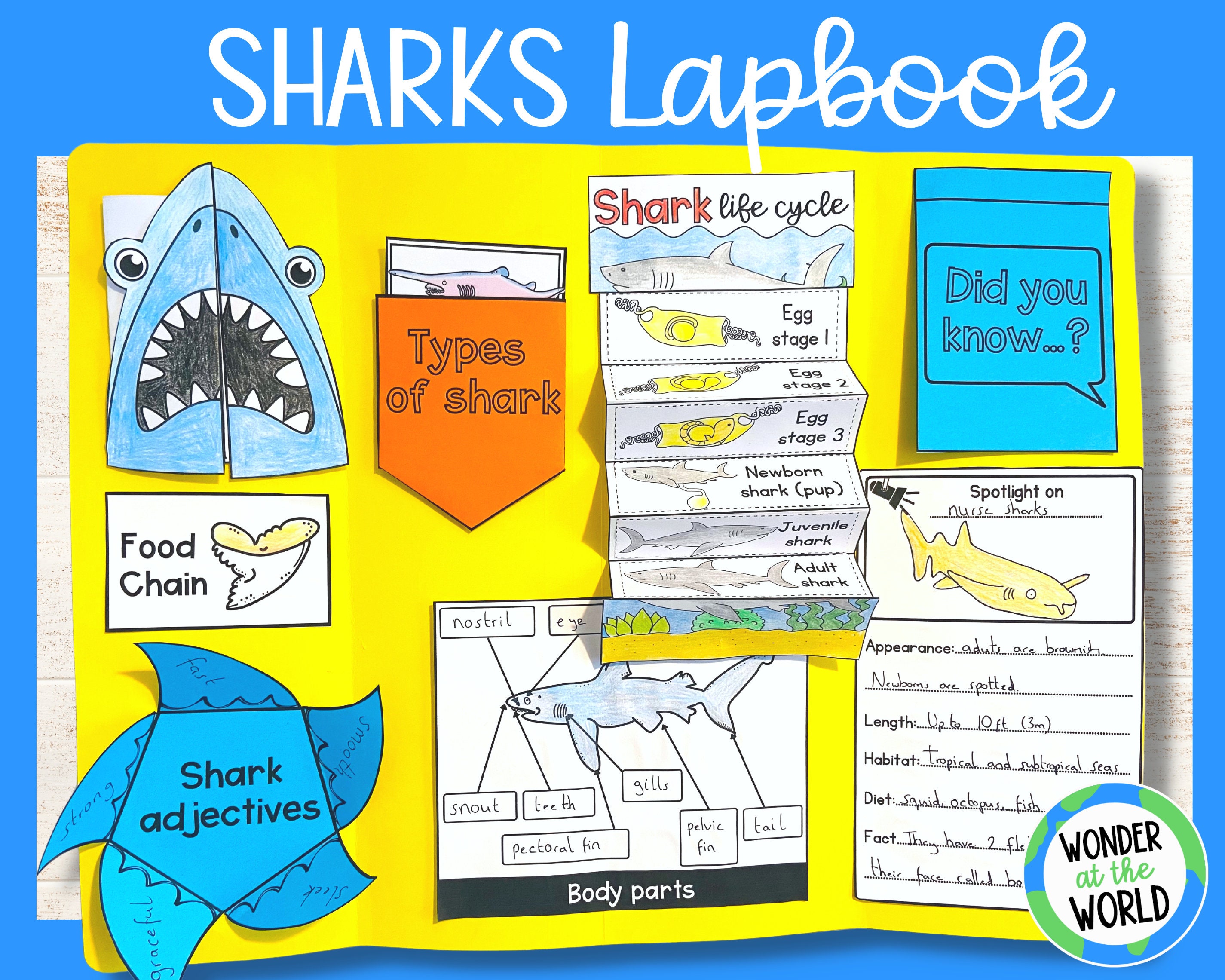 Shark Science Lapbook Printable Templates Digital Download A4 and 11x8 ...