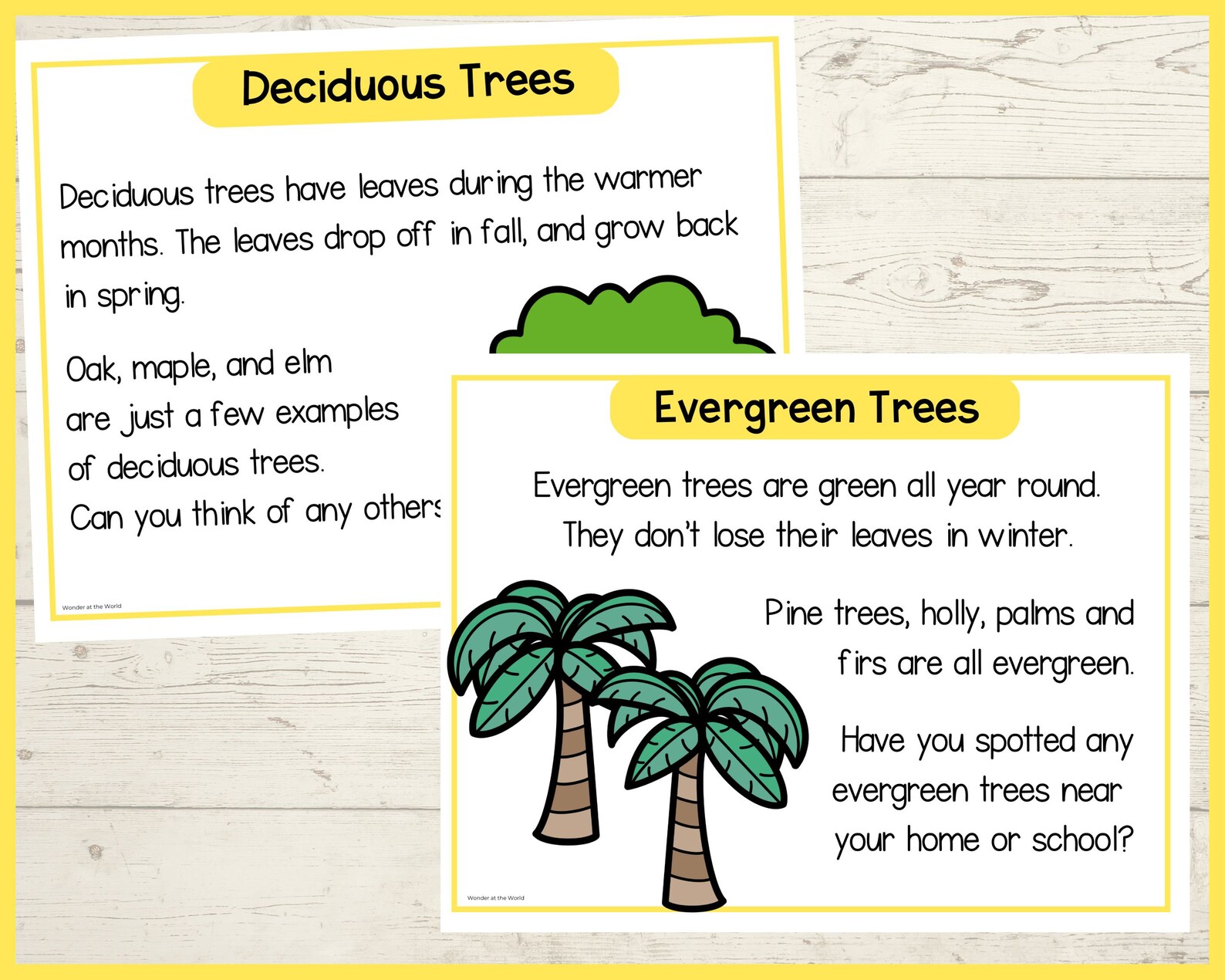 Plants Science Display for Classroom | Bulletin Board Display | Plant ...