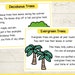 Plants Science Display for Classroom | Bulletin Board Display | Plant ...