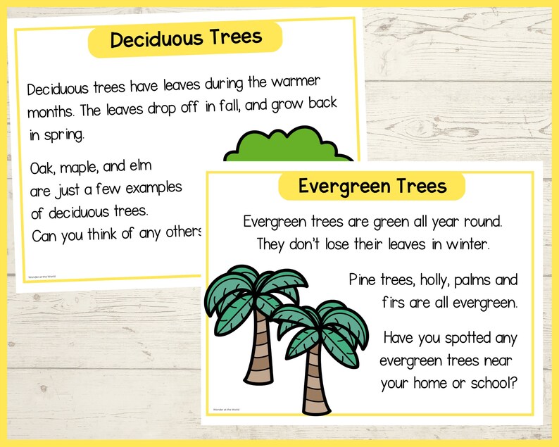 Plants Science Display for Classroom | Bulletin Board Display | Plant ...