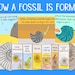 How a Fossil is Formed Printable Craft Activity and Sequencing Cards ...