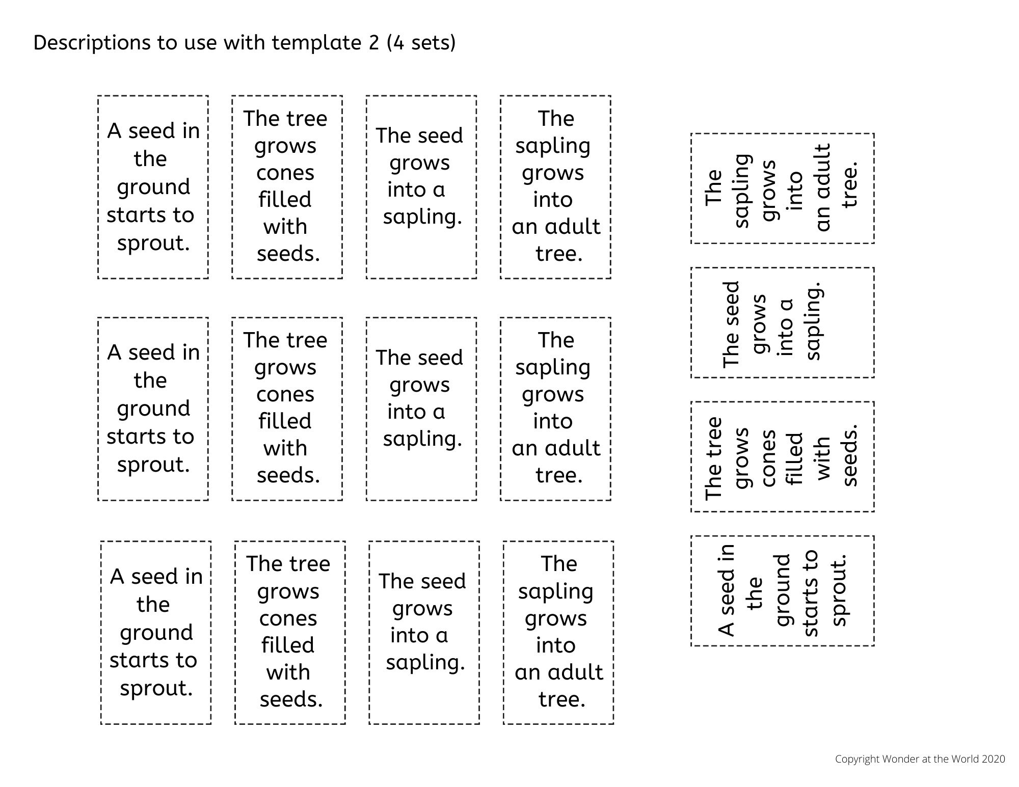Life Cycle of a Christmas Tree Foldable Kids' Craft A4 | Etsy UK
