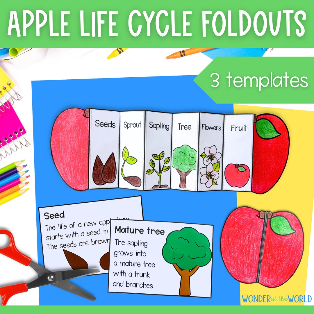 Life Cycle of an Apple Tree Foldable Activity for Kids Printable | A4 ...