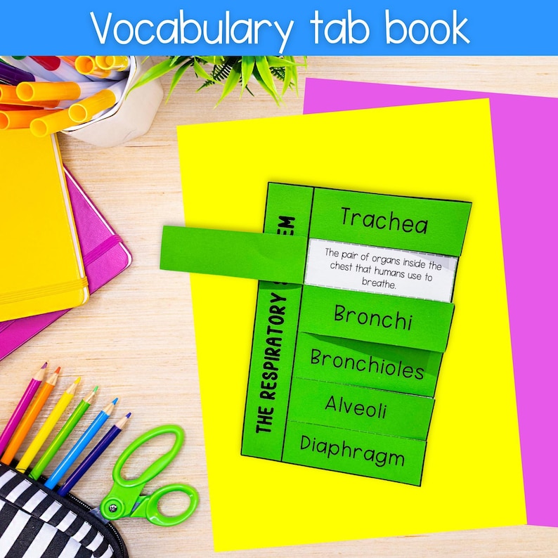The Respiratory System Human Body Cut and Paste Sequencing Activity and ...