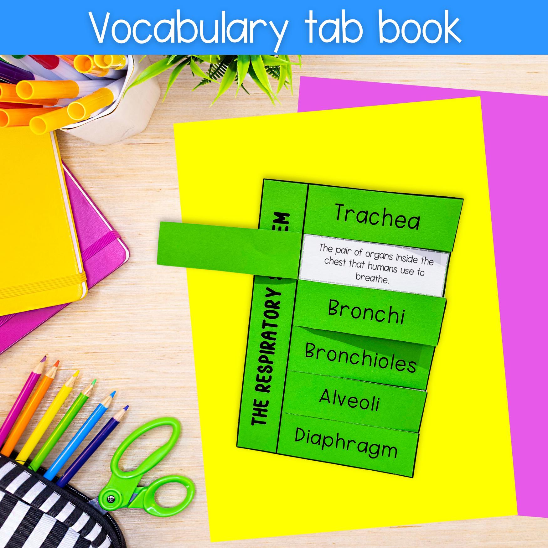 The Respiratory System Human Body Cut and Paste Sequencing Activity and ...