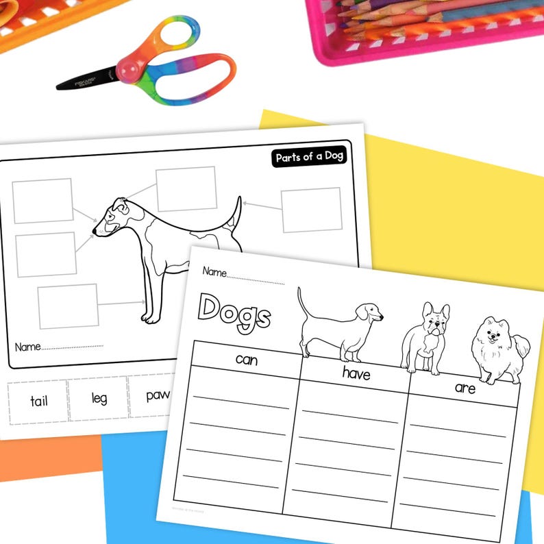Life Cycle of a Dog Mammal Sequence and Fold Science Craft Activity ...