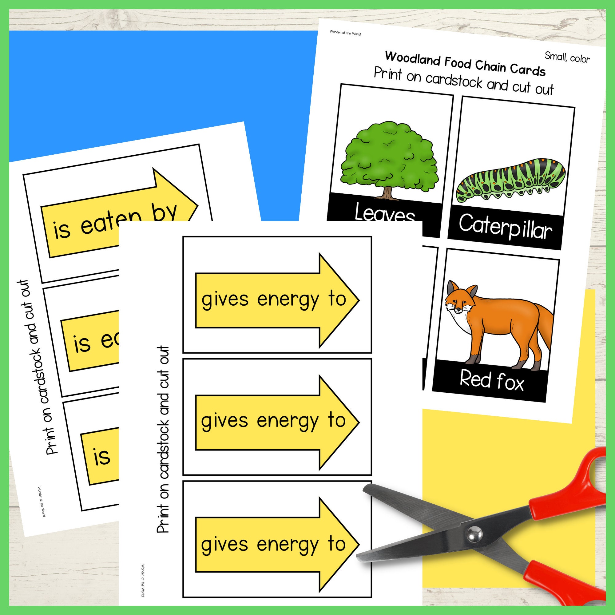 Food Chains Printable Worksheets and Clothesline Activity PDF Digital ...