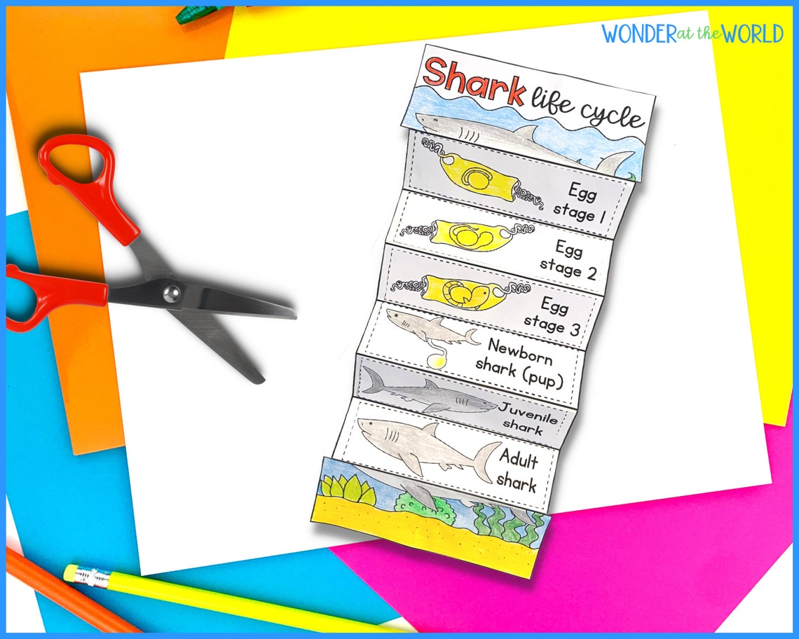 Shark Science Lapbook Printable Templates Digital Download A4 and 11x8 ...