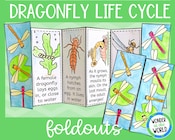 Life Cycle of a Bean Plant Foldable Kids' Craft Science Activity A4 and ...