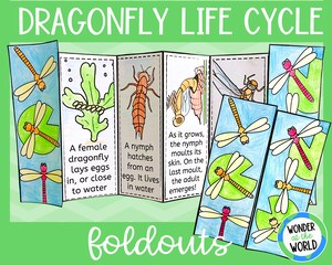 Life Cycle of a Bean Plant Foldable Kids' Craft Science Activity A4 and ...