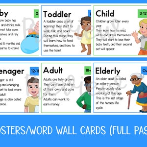 Human Life Cycle Foldable Sequencing Activity for Kids | Printable US ...