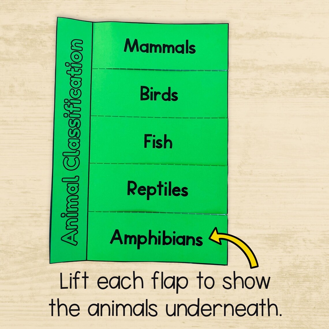 Animal Classification Sort Cut and Paste Lift the Flap Book Activity ...