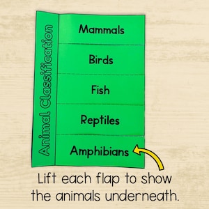 Animal Classification Sort Cut and Paste Lift the Flap Book Activity ...