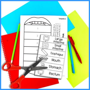 Human Body Digestive System Foldable Sequencing Activities for Kids ...